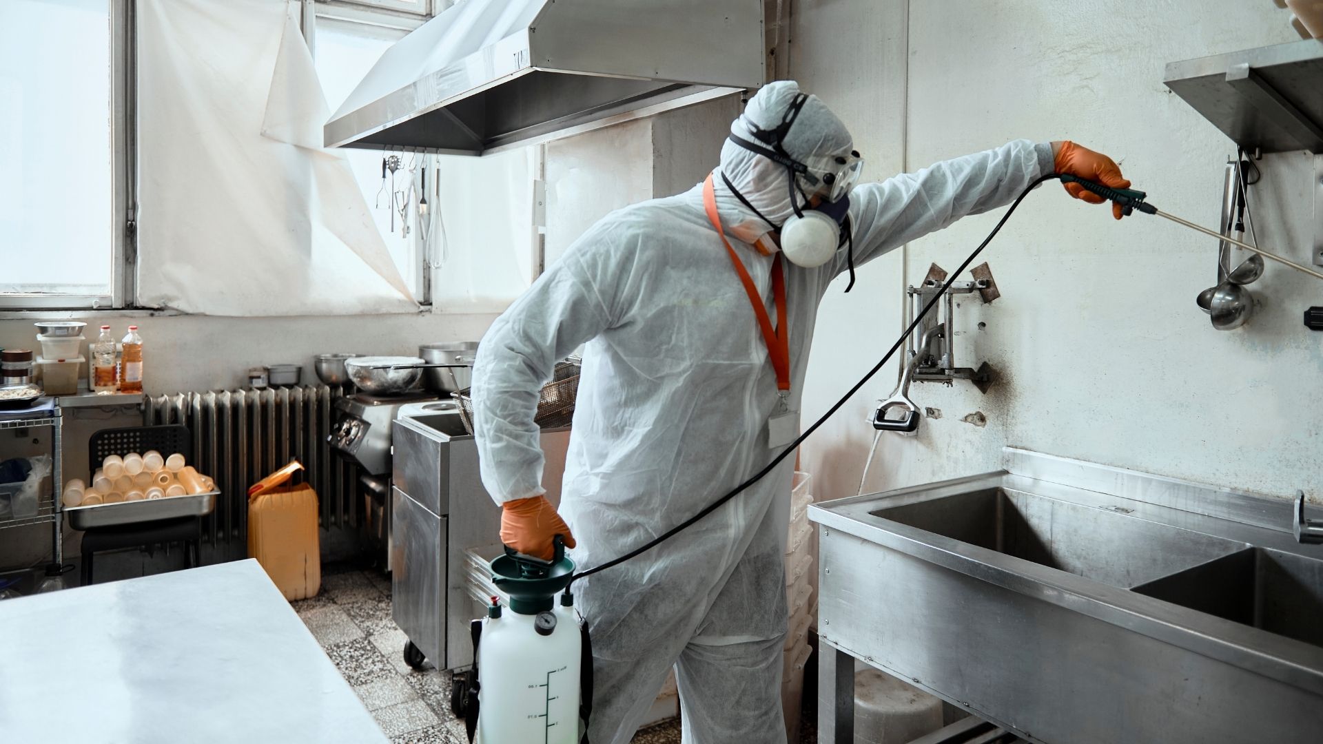 Lutte anti-nuisibles : comment intégrer le suivi dans votre PMS